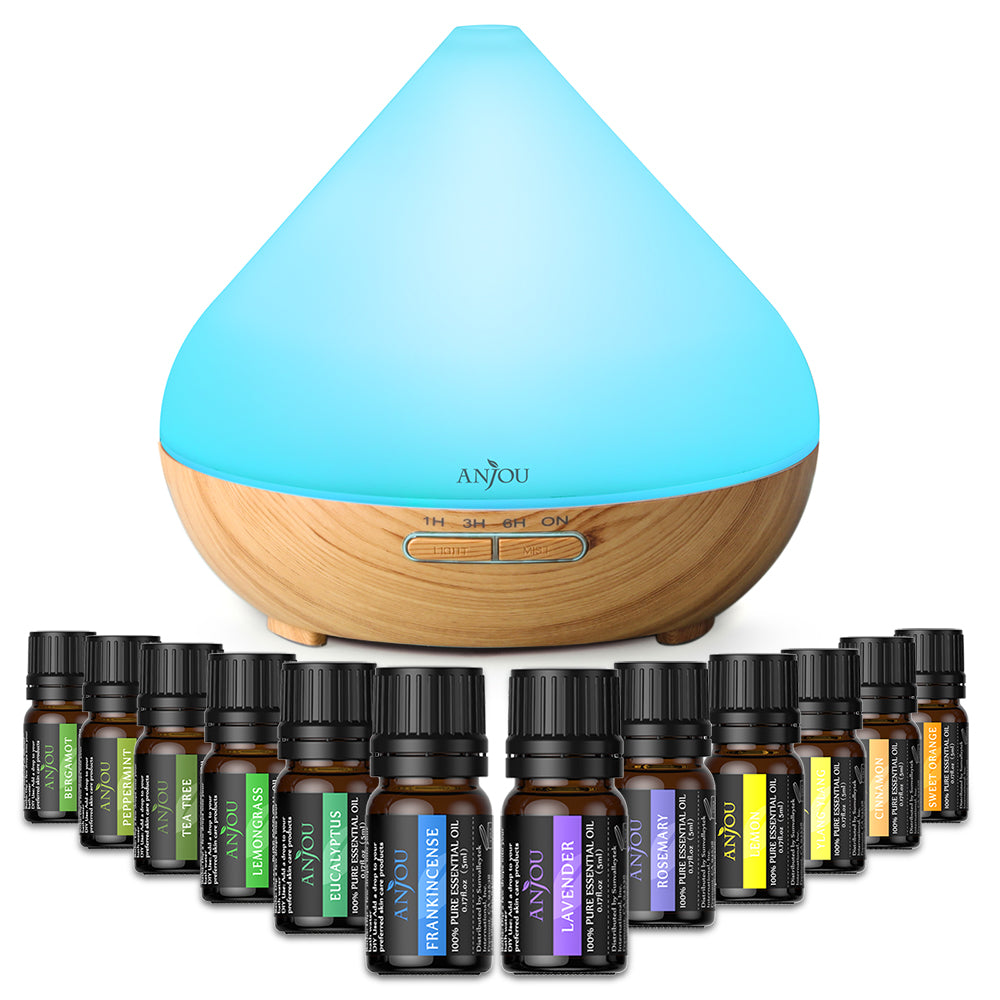 Aromatherapy Essential Oil Diffuser Gift Set, 13 Count | Anjou